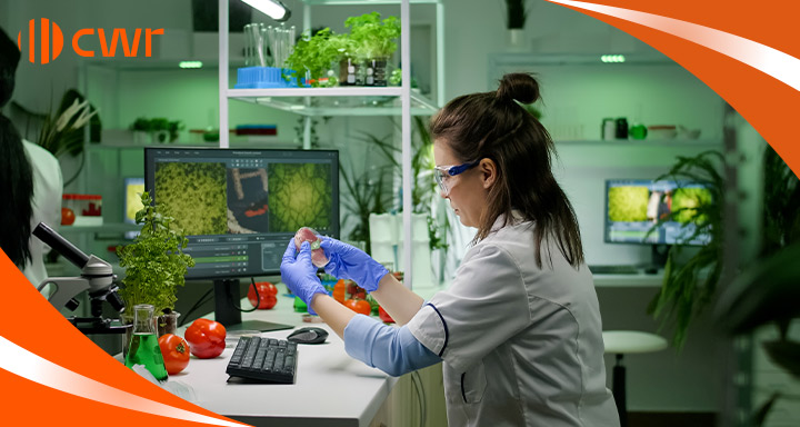 Category-Based Draws for STEM Professions-All you need to know