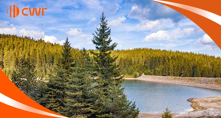 Alberta Introduces AAIP Pathway for Law Enforcement